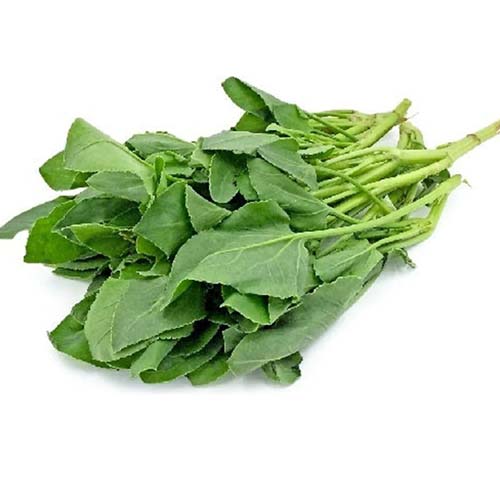 Buy Chukkakura (Khatta Palak) Seeds Online in India | SeedVanam